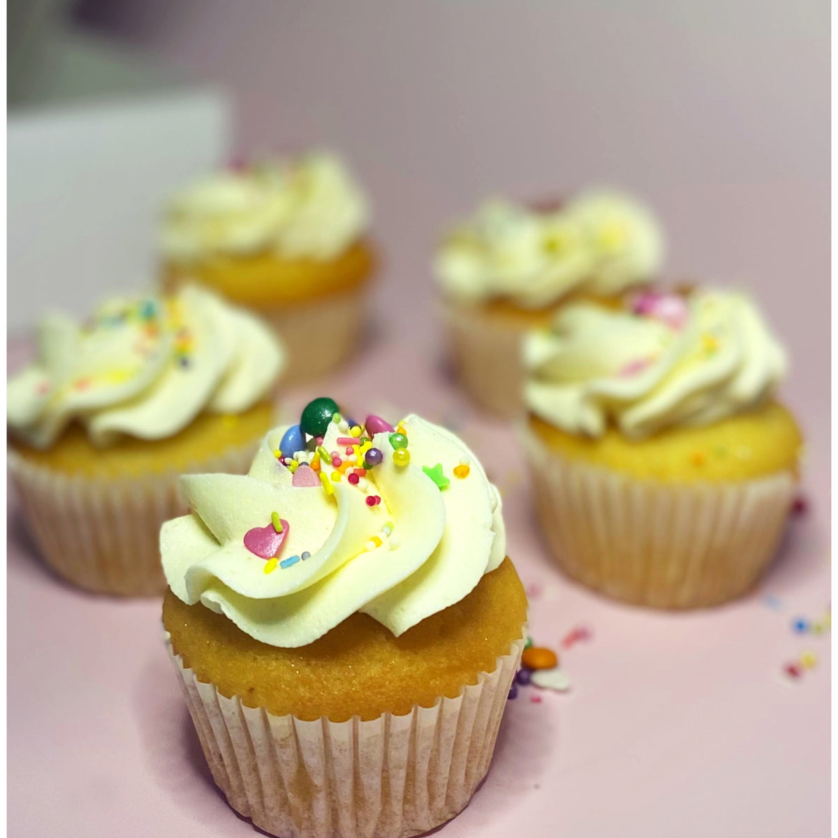 Sprinkle Cupcakes – Mrslyon'scakery